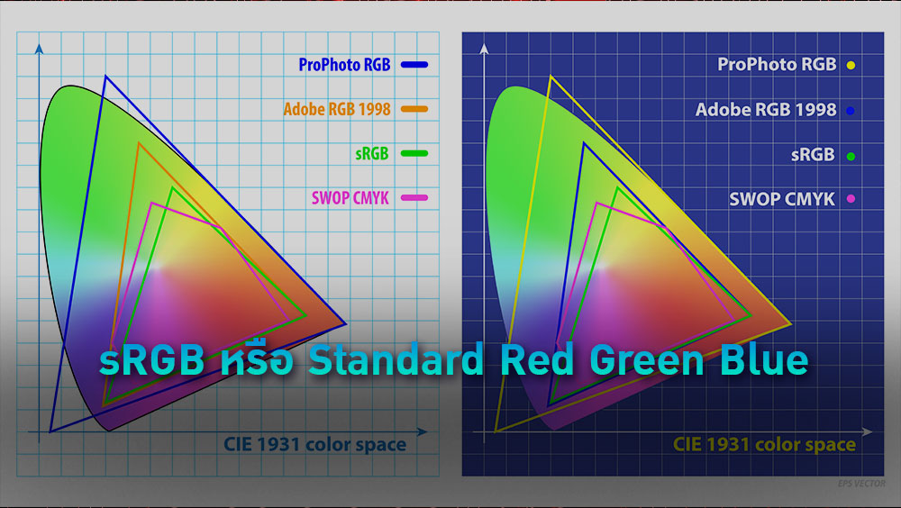 sRGB หรือ Standard Red Green Blue